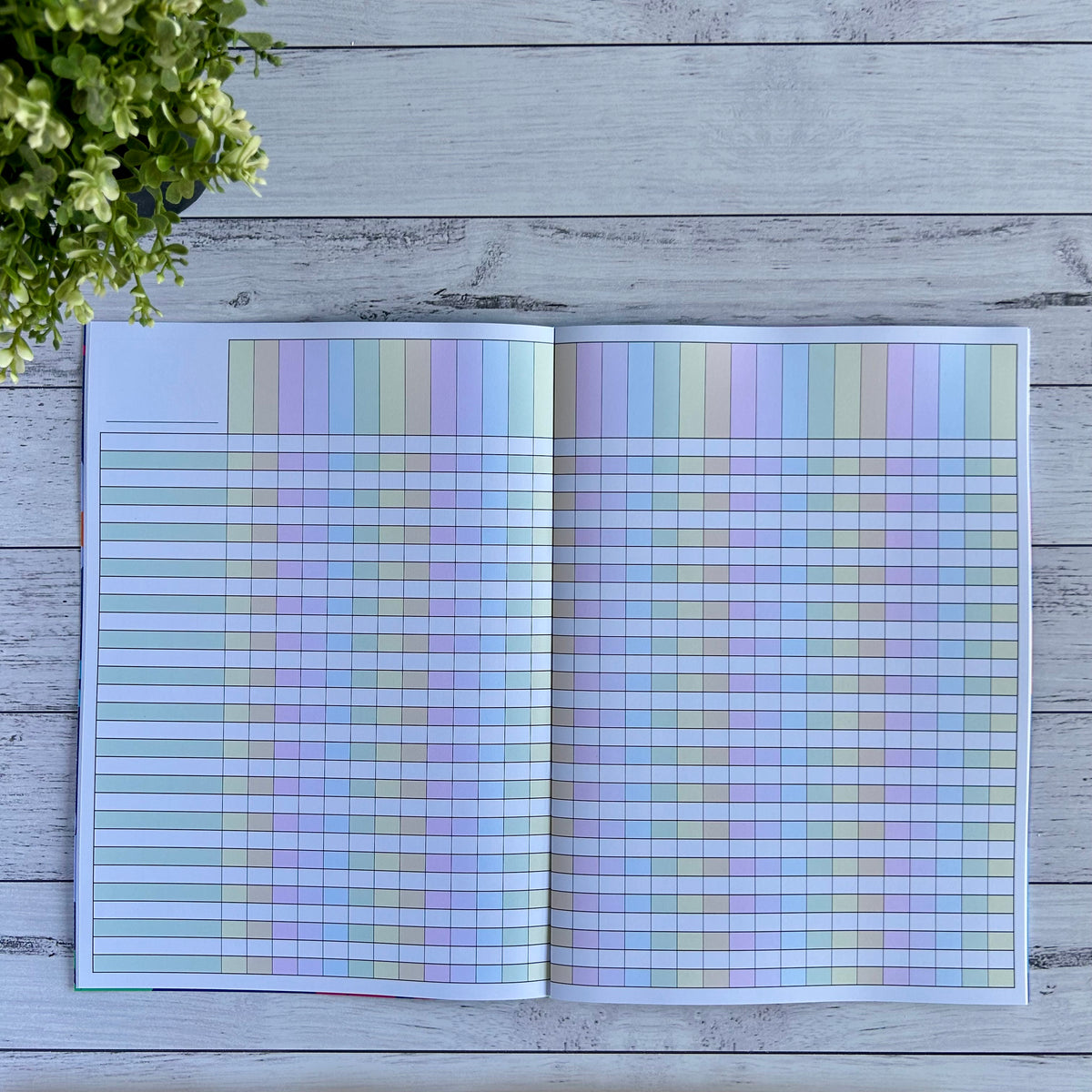 Assessment and Record Book - Rainbow Stripes – Miss Amanda Kate